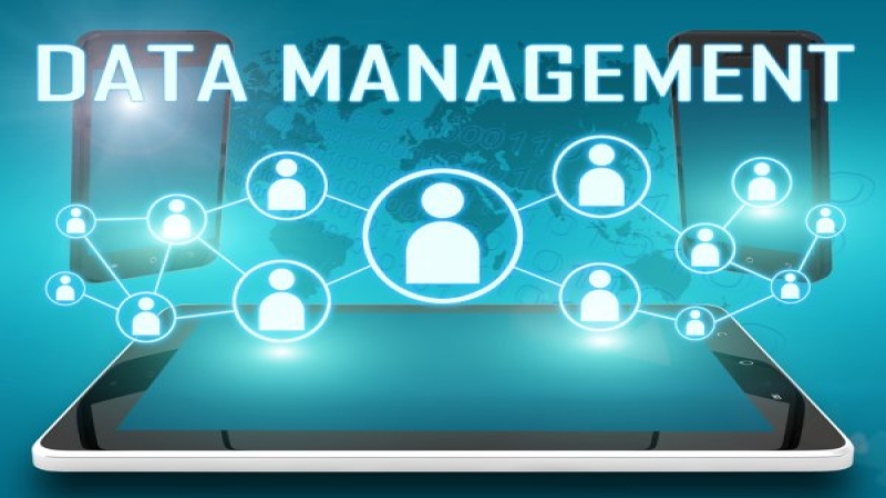 A Concise Guide to Key Data Management Components and Their ...
