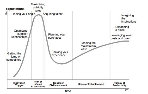 Navigating the Trough of Disillusionment – renierbotha ltd